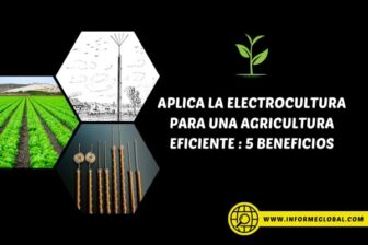 ᐅ 5 Beneficios de la Electrocultura: Agricultura del Futuro